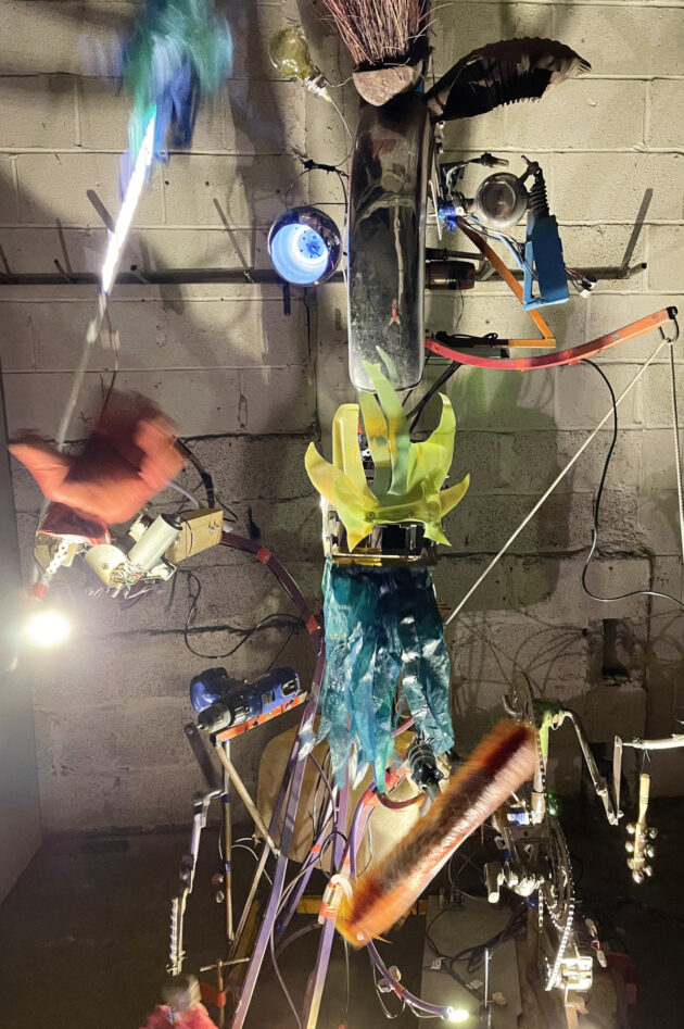 Portfolio - Trans-mutation